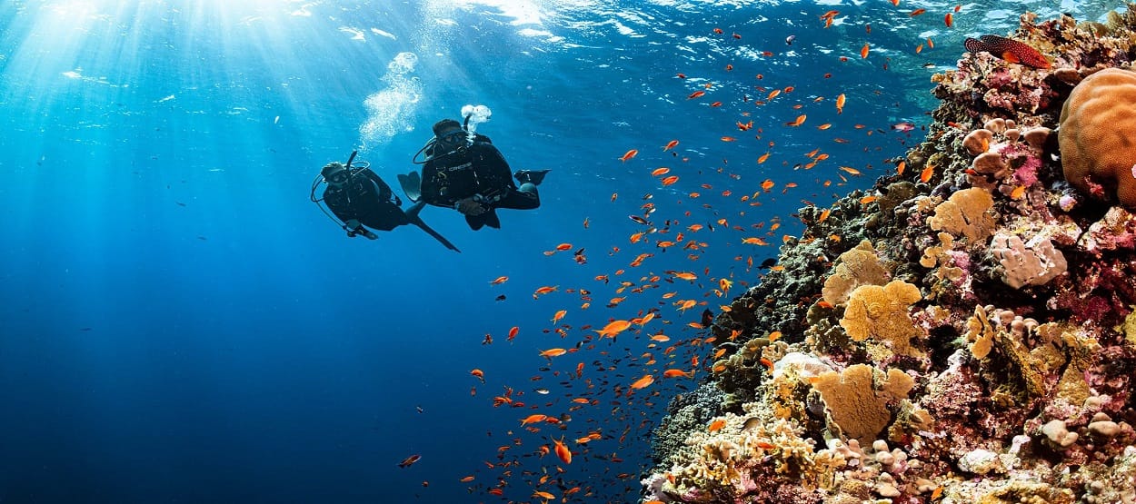 Scuba Dive Beach - Travellerspedia